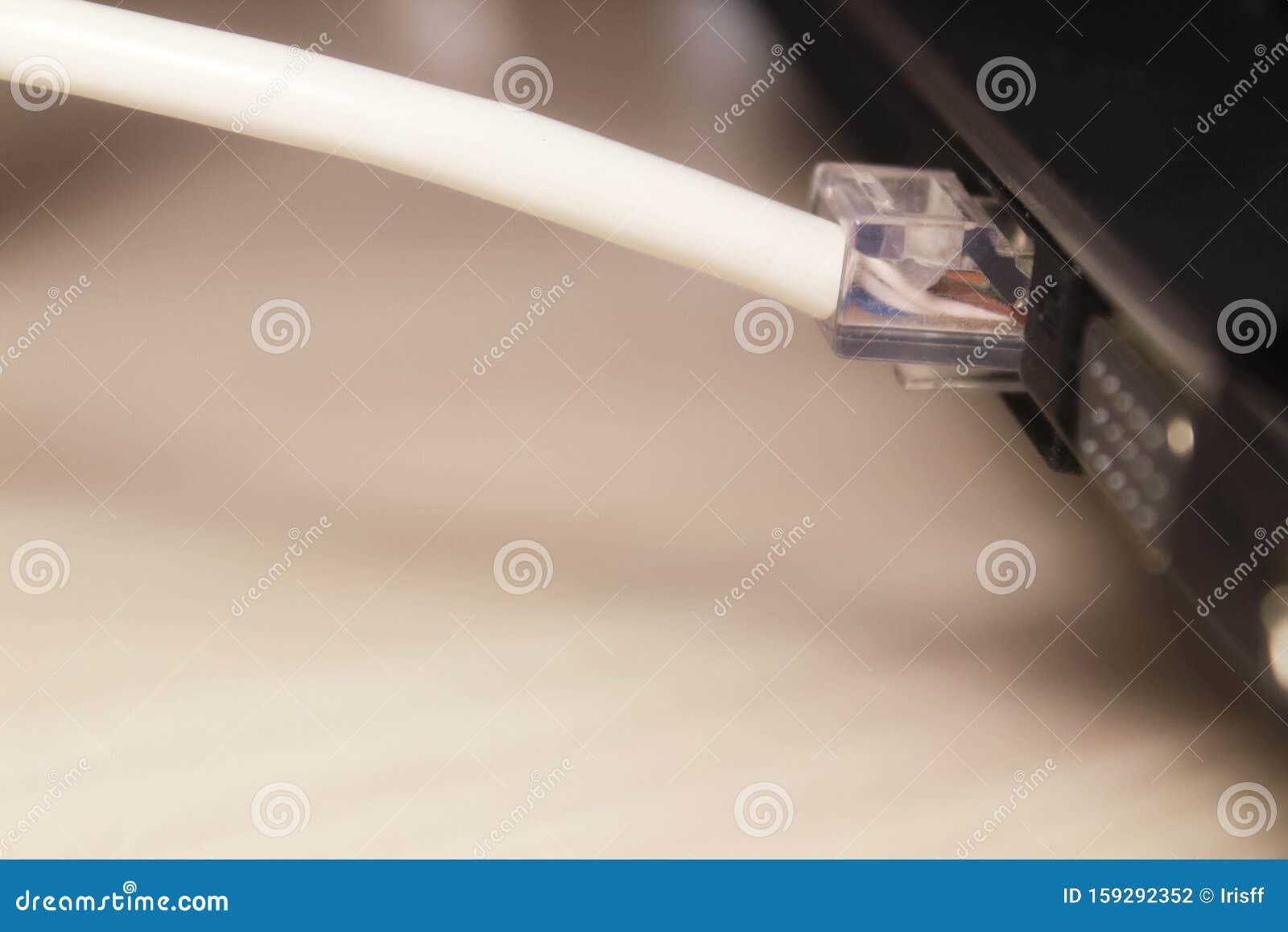 Internet Cable and Connector Plugged into Laptop Stock Photo - Image of ...