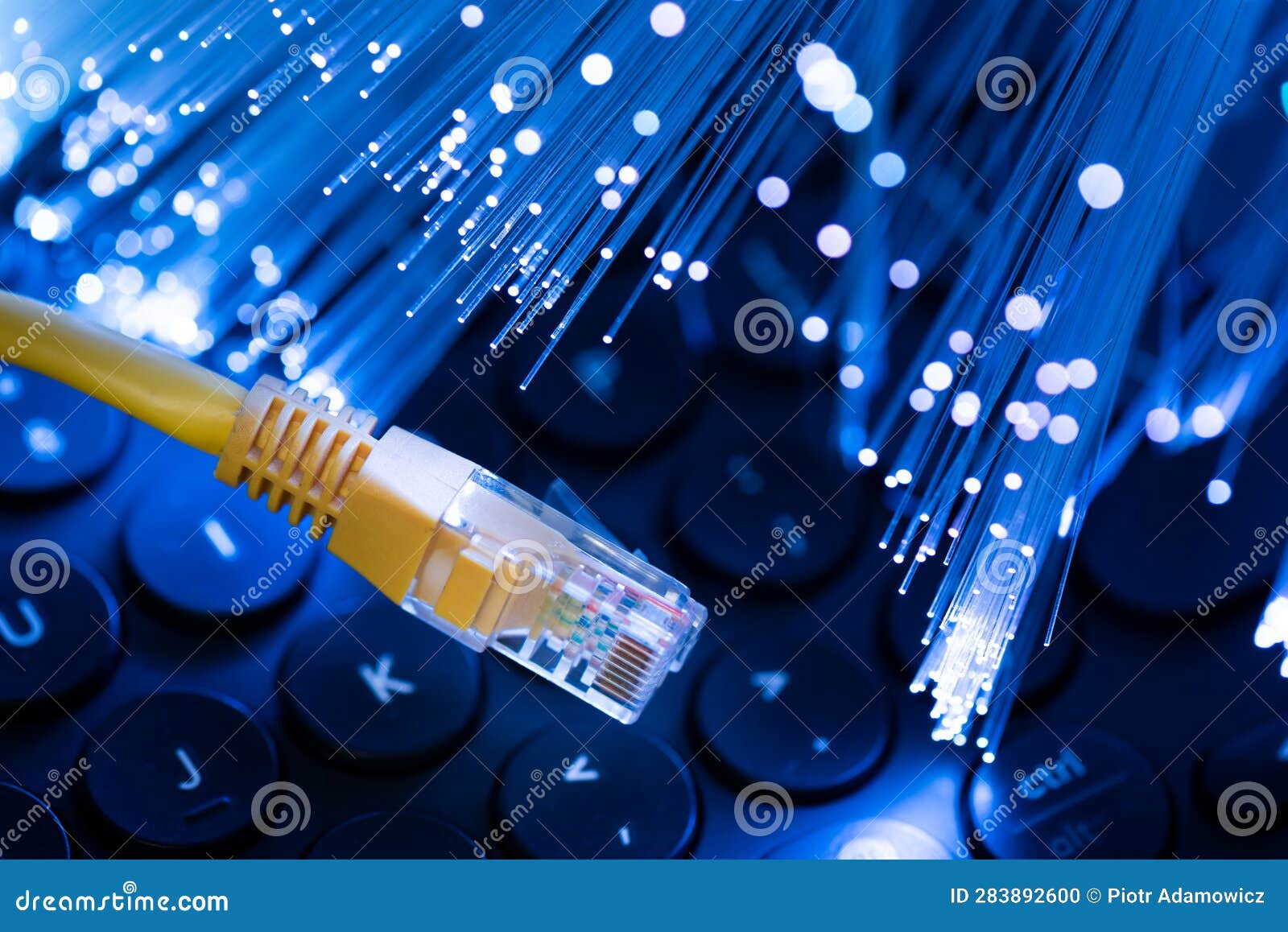 Internet Cable, Fiber Optics Concept Stock Photo - Image of light ...