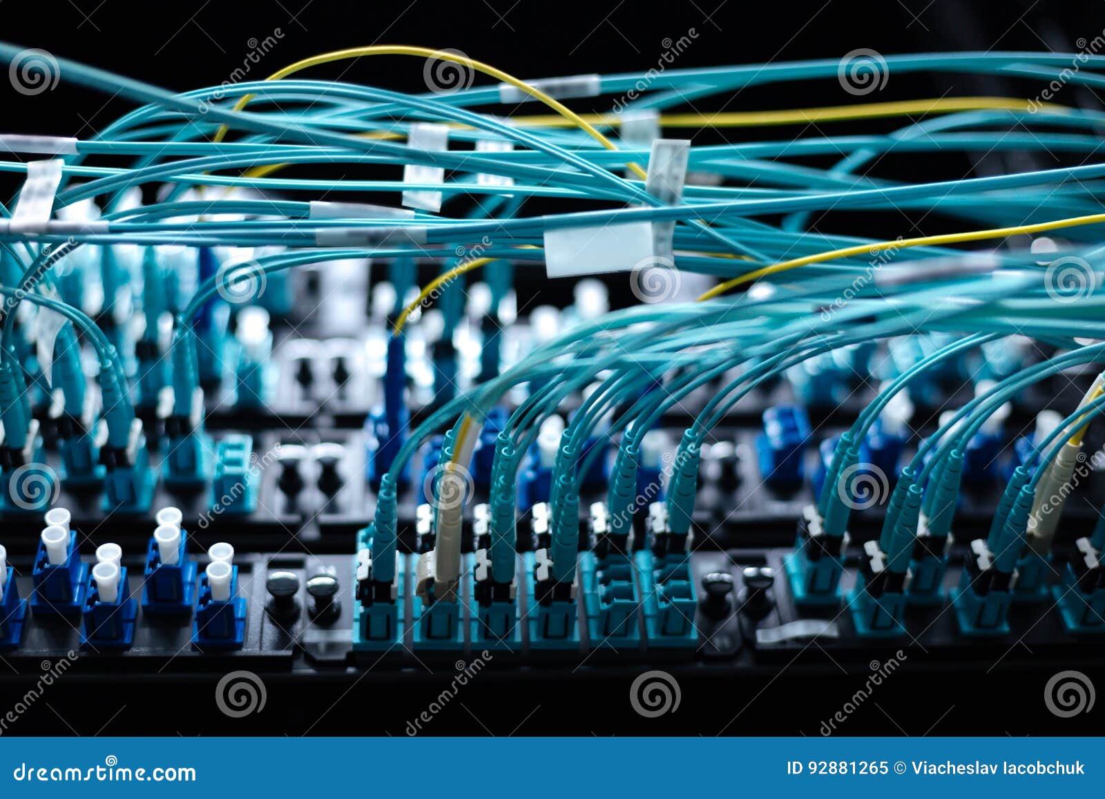 Internet Cables Being Connected To the Switch Panel Stock Image - Image ...