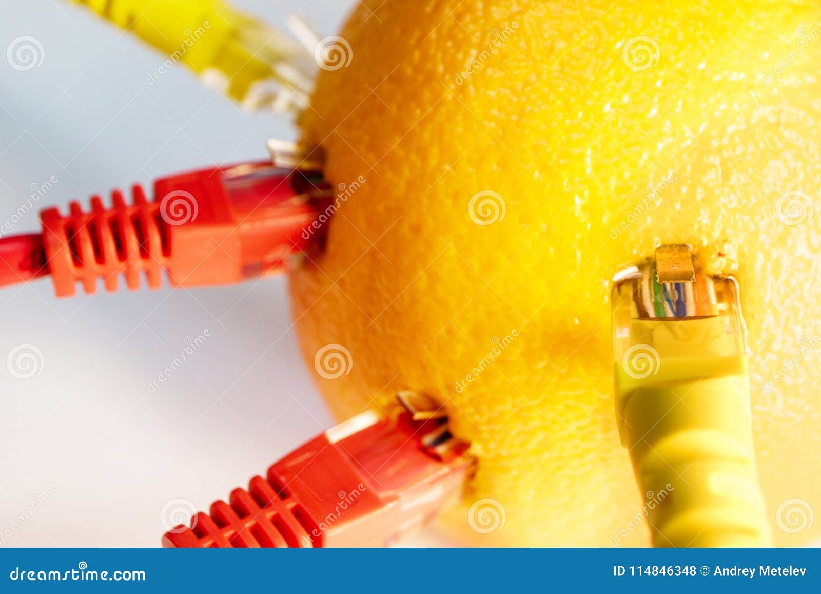 Internet Cables are Stuck in Orange Fruit. Connection To the Internet ...
