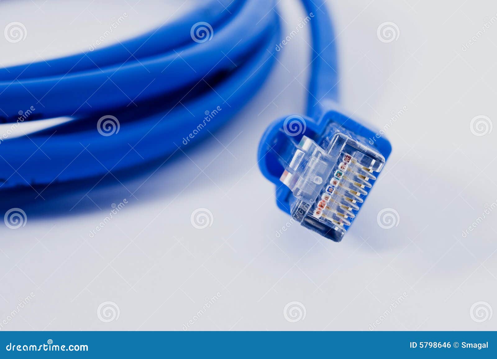 Internet Connector with Wire Stock Photo - Image of jack, automation ...