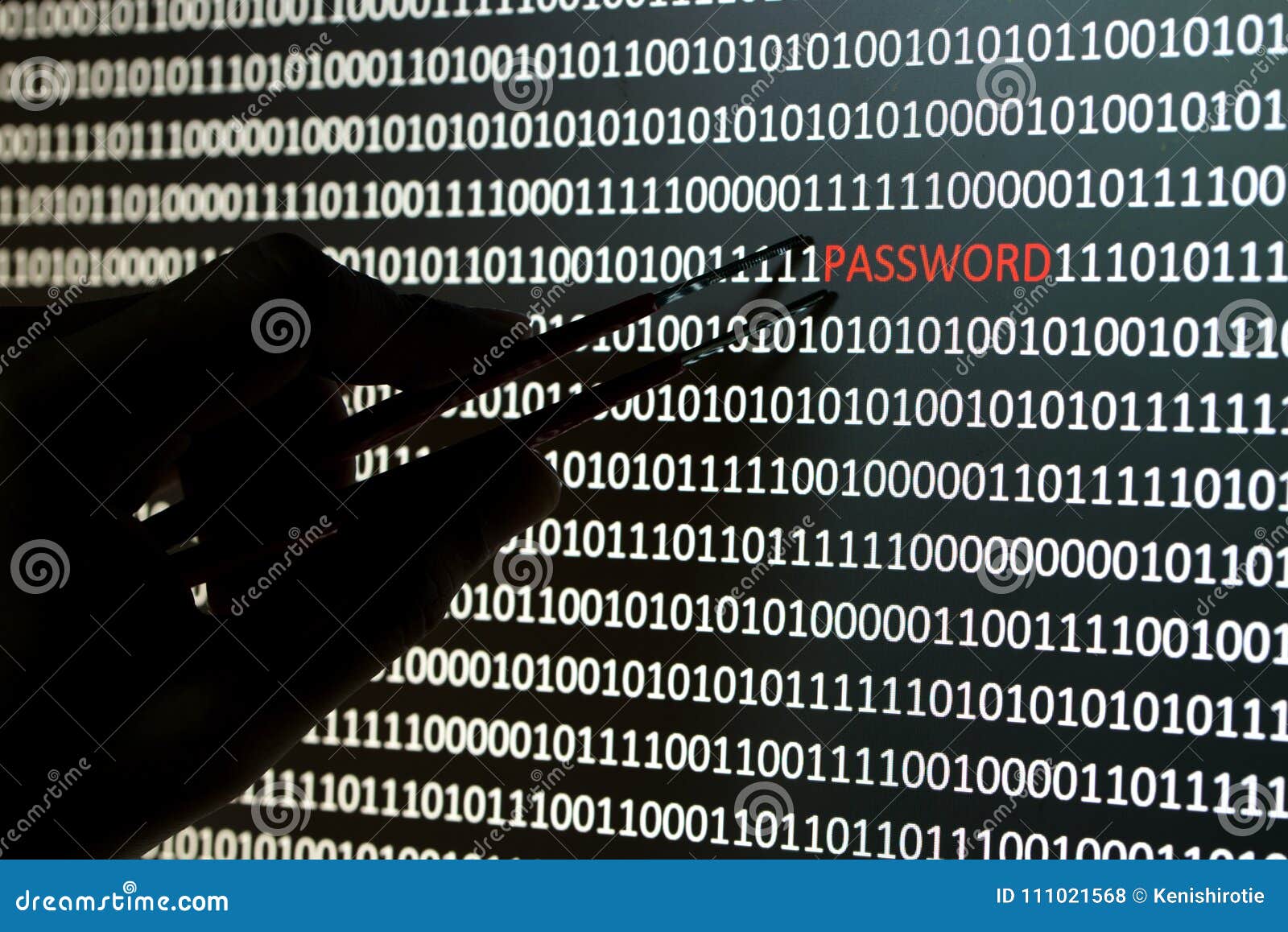 Internet or cyber security stock photo. Image of safe - 111021568