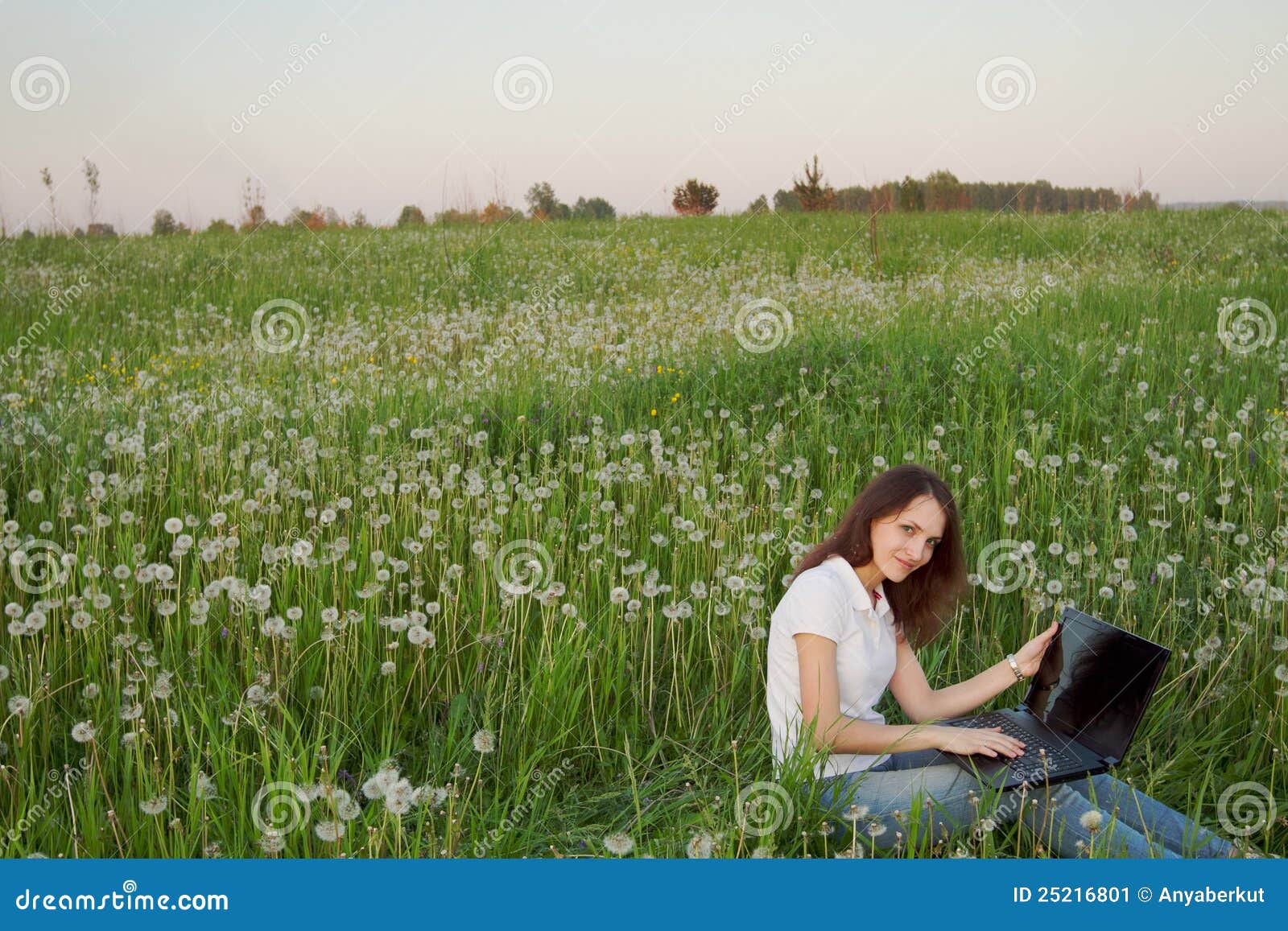 Internet everywhere stock image. Image of beauty, business - 25216801