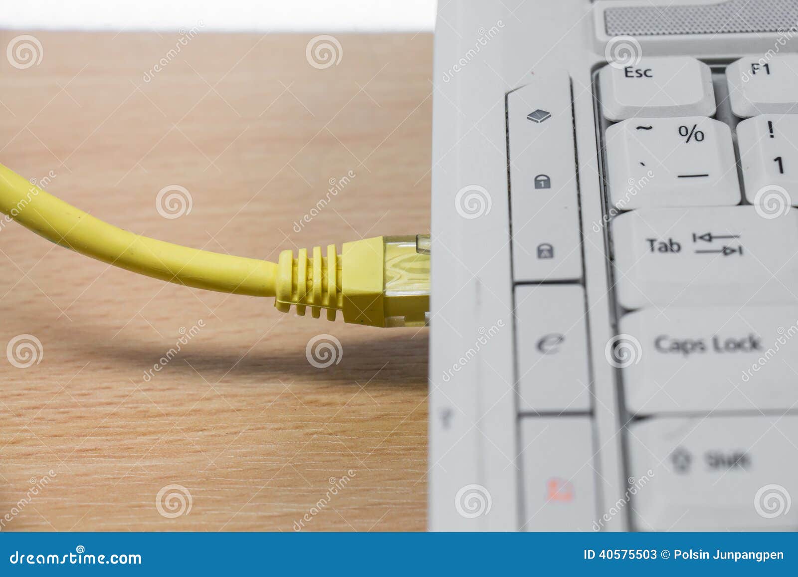 Internet Network Cable are Connected To Computer Stock Image - Image of ...