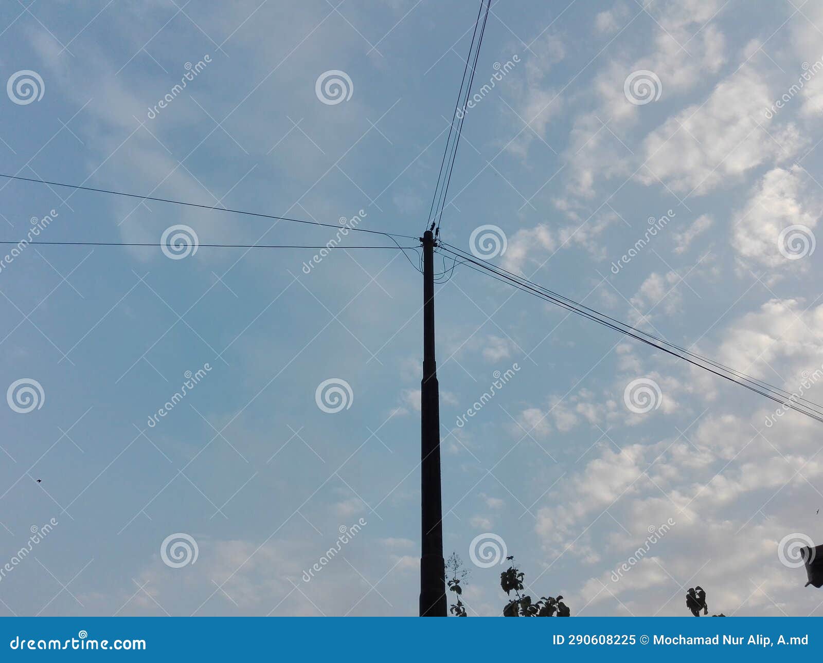 An Internet Pole with Several Cables Stretched Out Stock Image - Image ...
