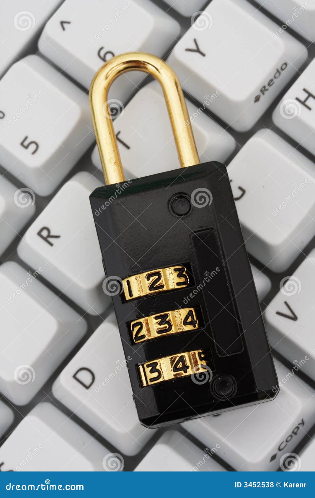 Internet Security stock photo. Image of protect, network - 3452538