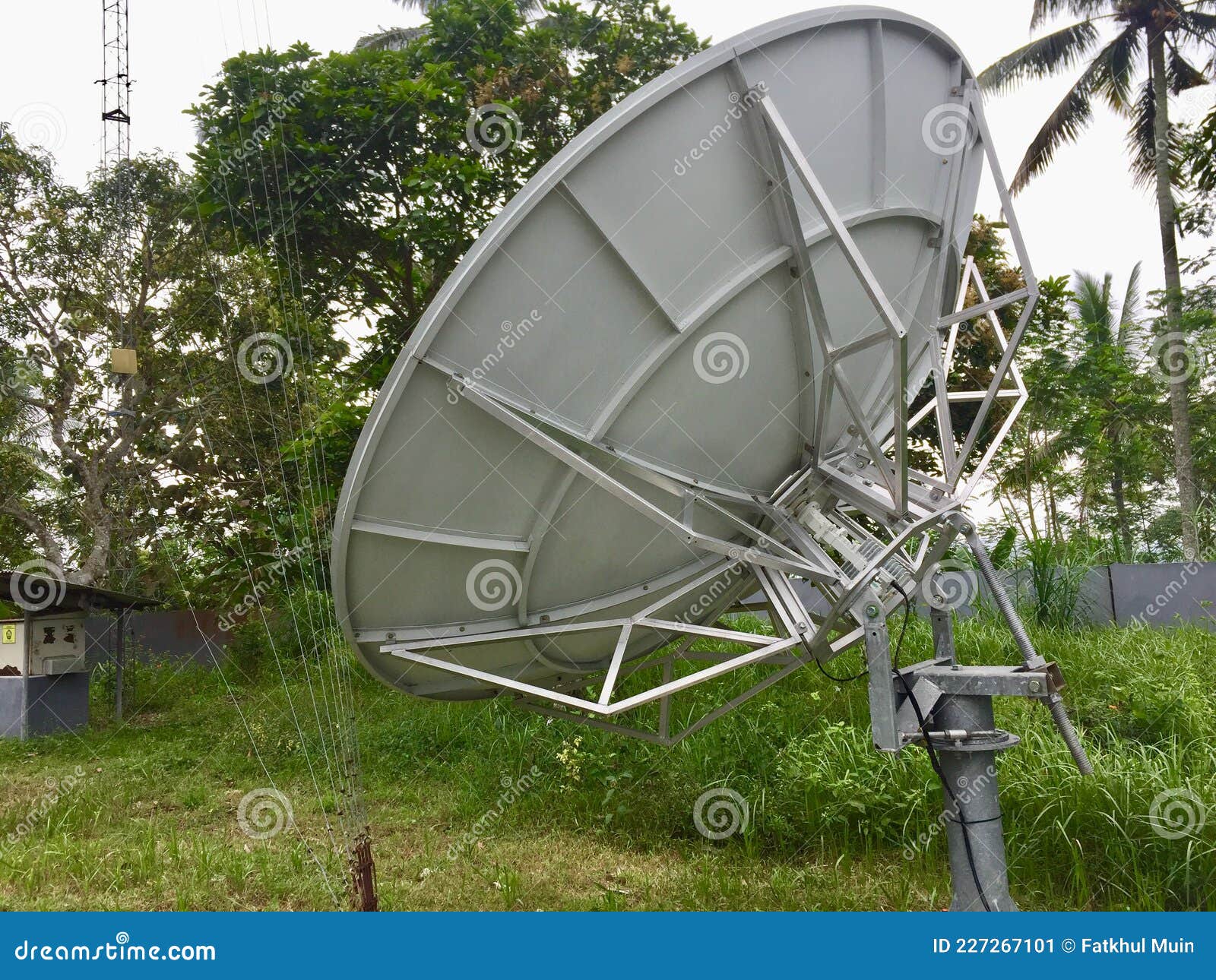 An Internet Signal Transmitter Stock Image - Image of wing, plant ...
