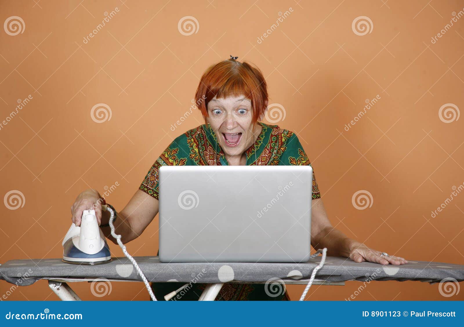 Internet surfing stock image. Image of lady, laptop, hair - 8901123