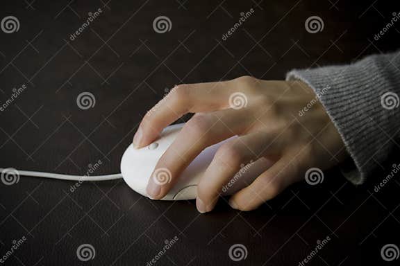 Internet User stock image. Image of cable, equipment, choosing - 7660523