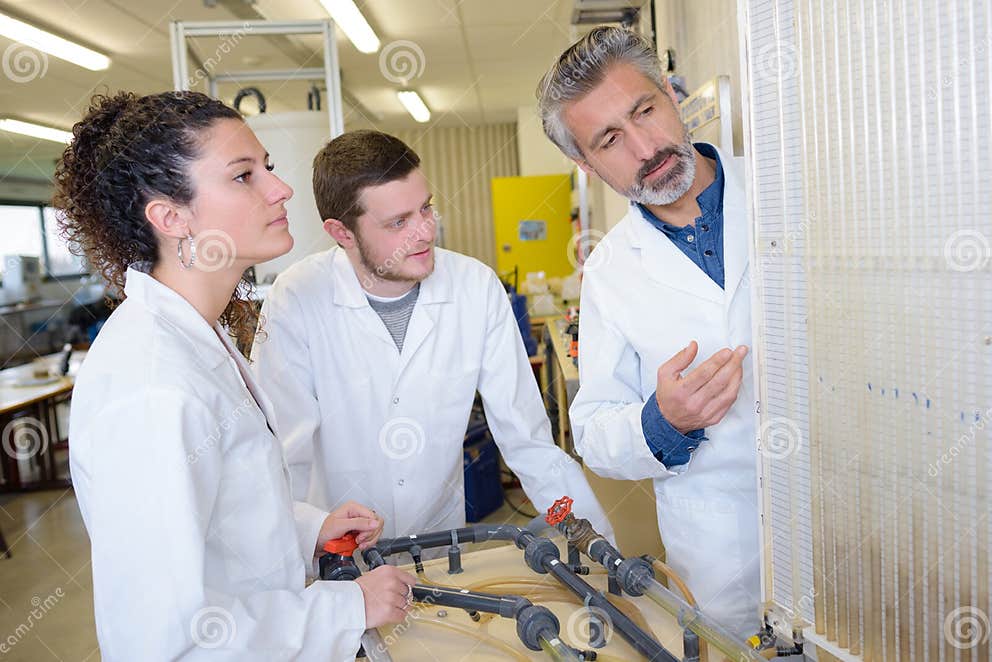 Interns factory stock photo. Image of analyze, design - 265995552