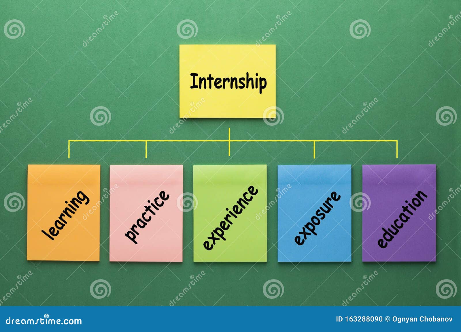 Internship Flowchart Concept Royalty-Free Stock Image | CartoonDealer ...