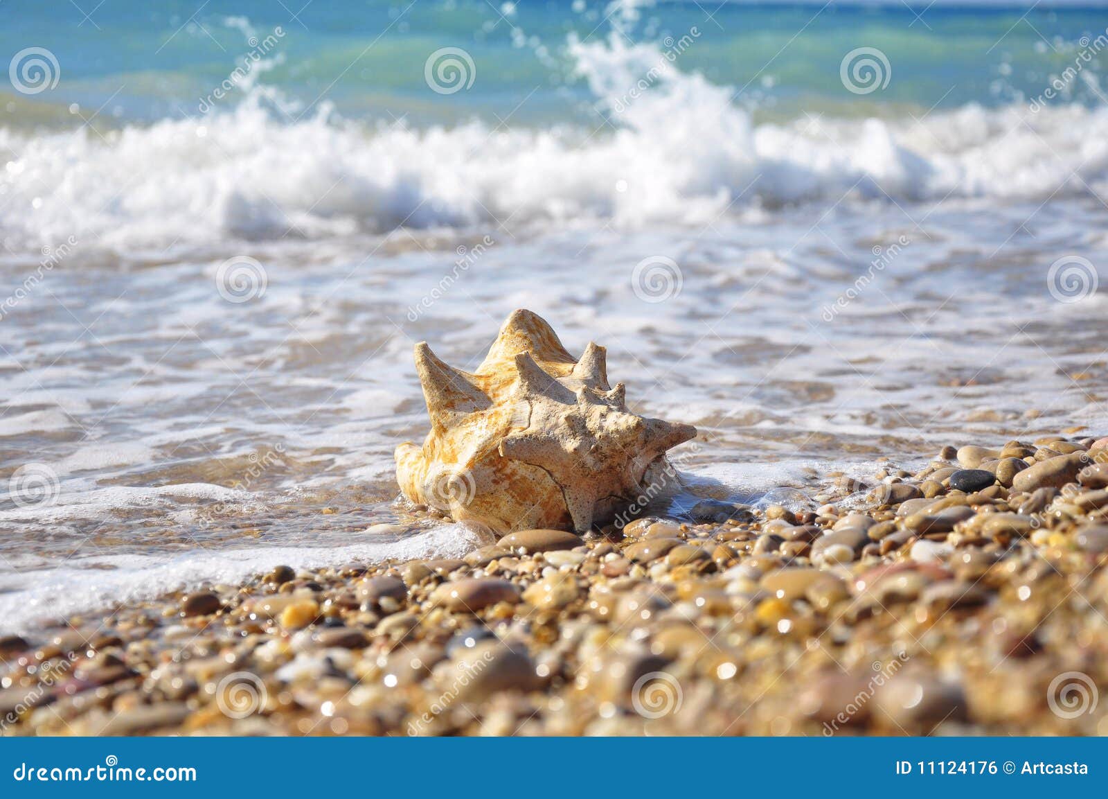 Interpréteur De Commandes Interactif De Conque Photo stock - Image du ...