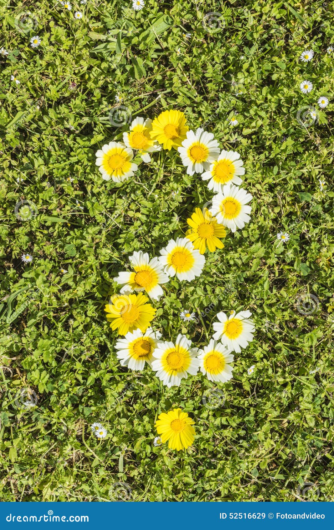 Interrogation Mark of Flower Alphabet Stock Image - Image of ...