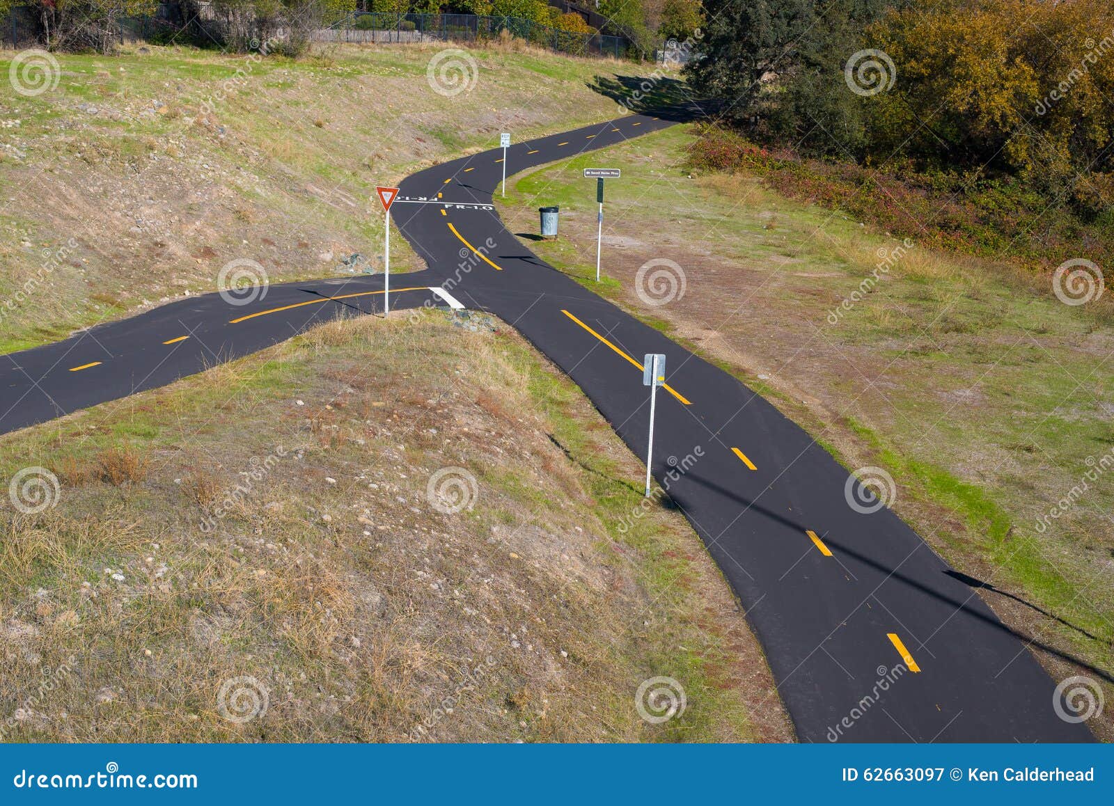 Two Intersecting Red Bicycle Paths Surrounded By Trees In The Park ...