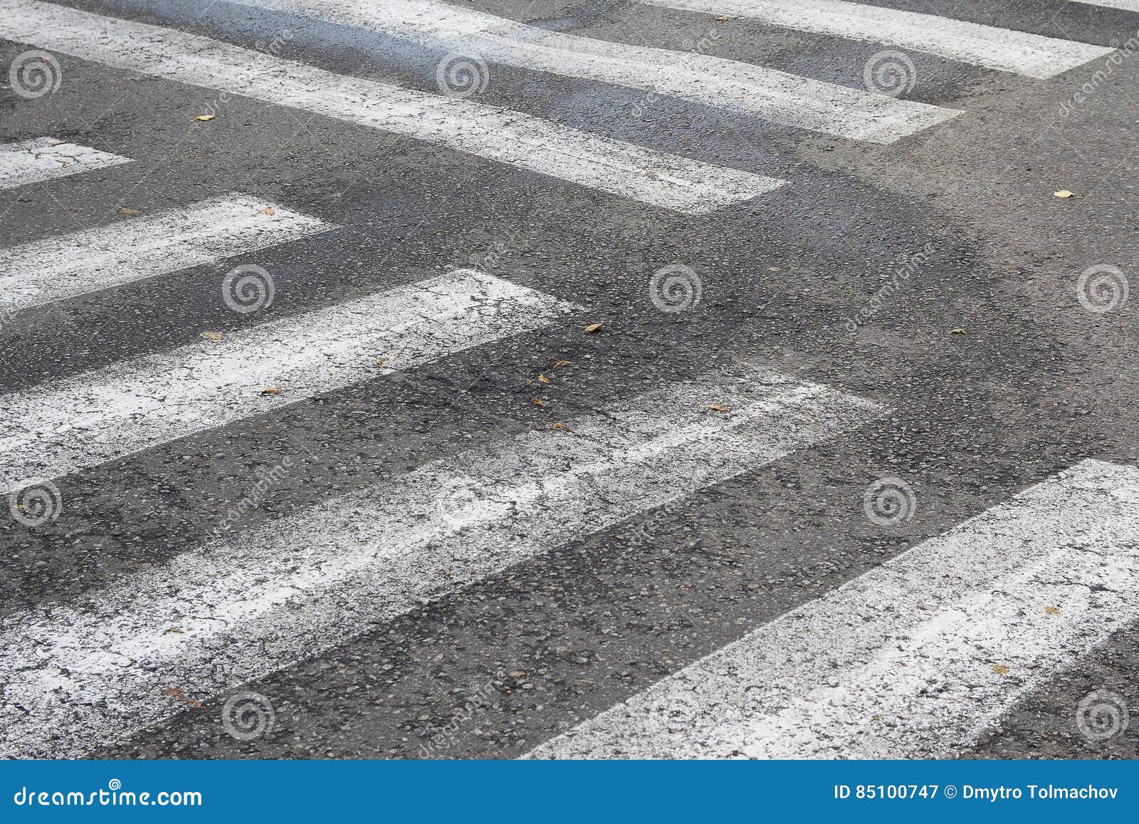 Intersecting Marking the Transition Band on the Pavement Stock Image ...