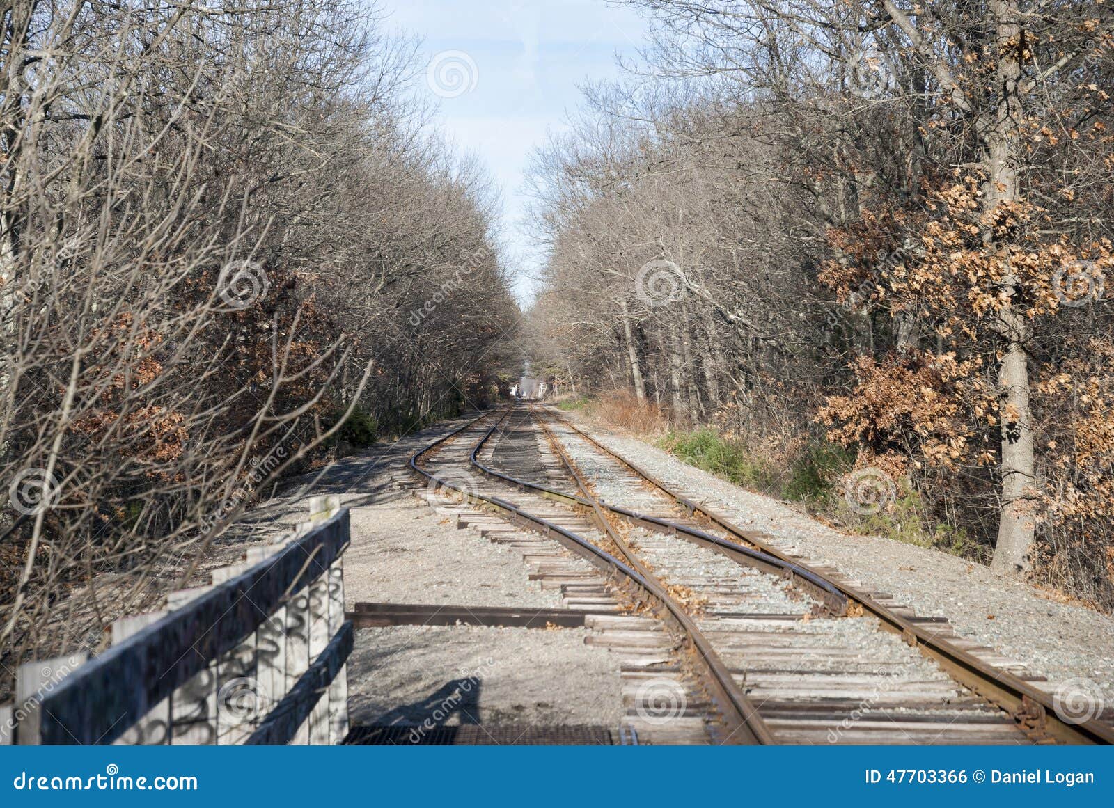 Intersecting Railroad Tracks Stock Photo - Image of route, landscape ...