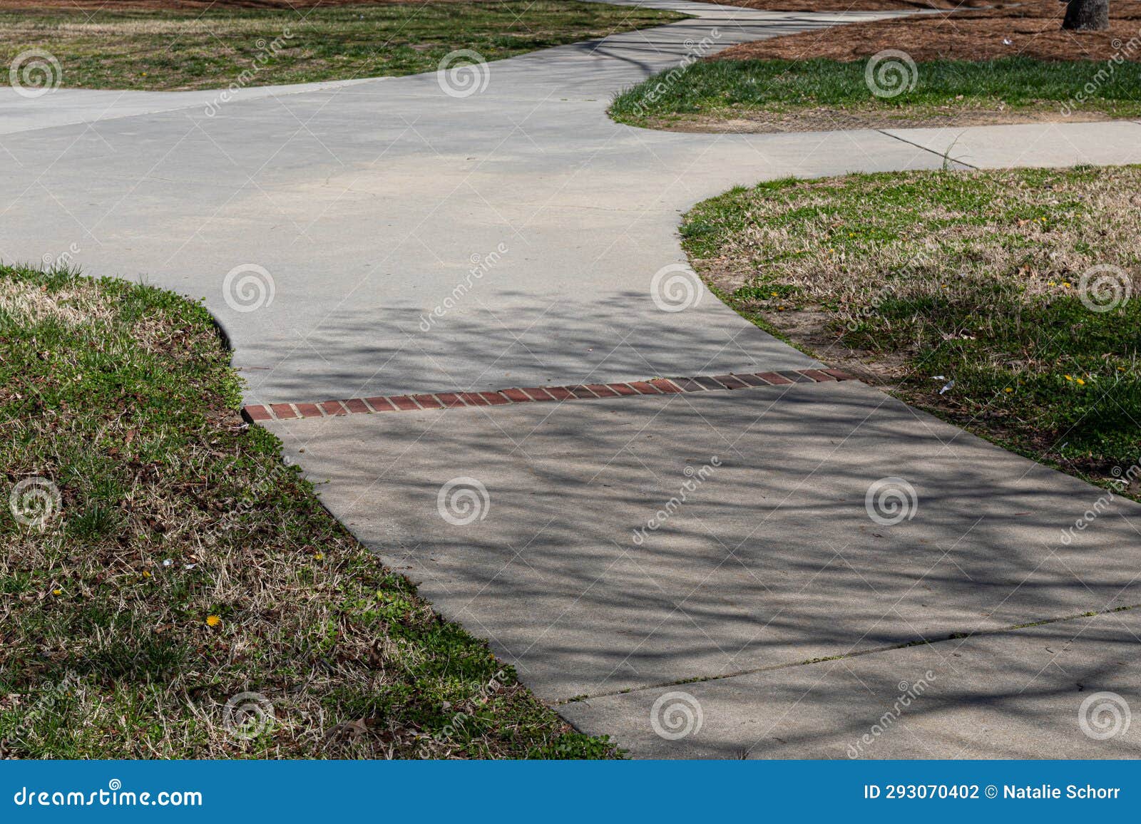 Intersection of Curved Concrete Pathways, Some in Shadows and Some in ...