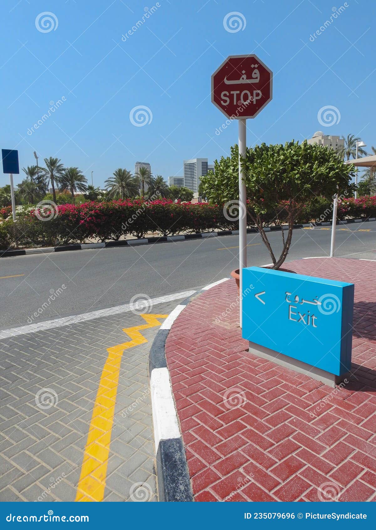 Intersection Exit Stop Signs English Arabic Script Stock Photo - Image ...