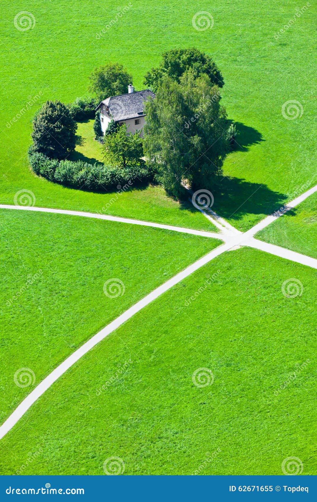 The Intersection Of Paths In The Park Among Lawns Filled With Yellow ...