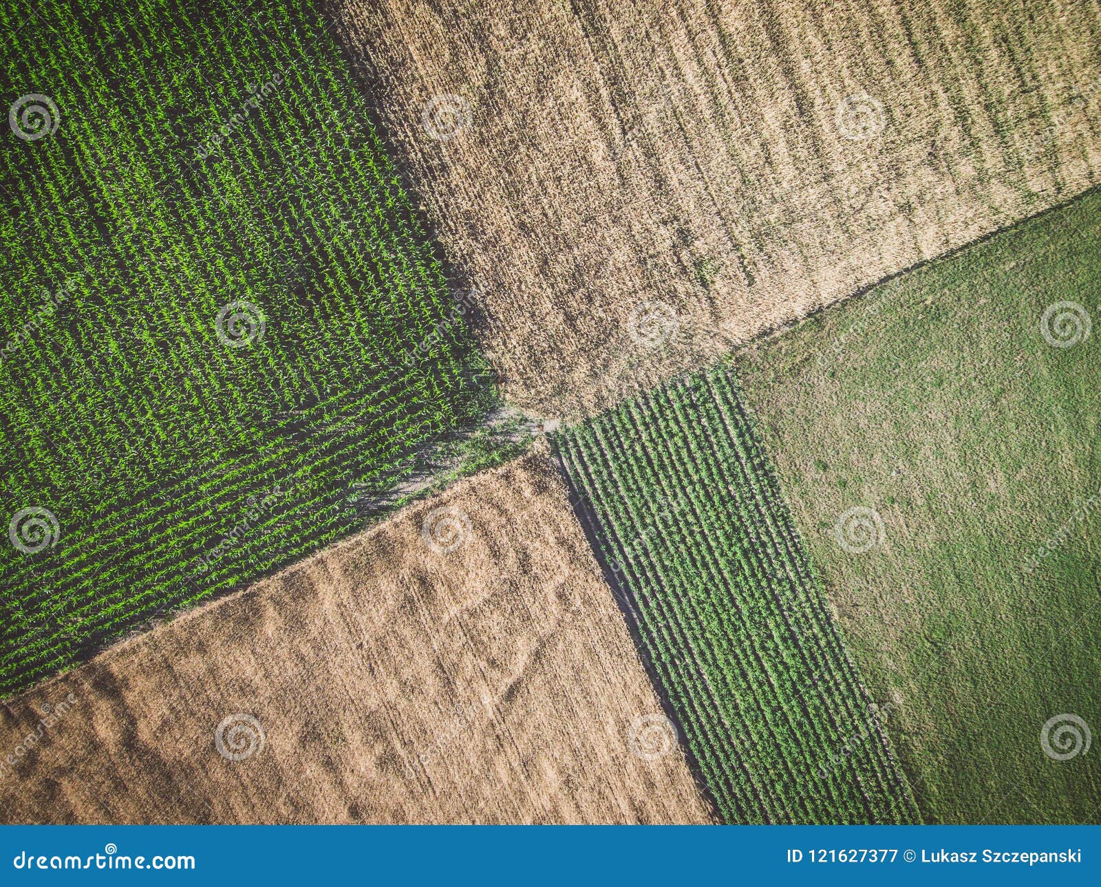 Intersection of Four Fields Stock Image - Image of landscape, cross ...