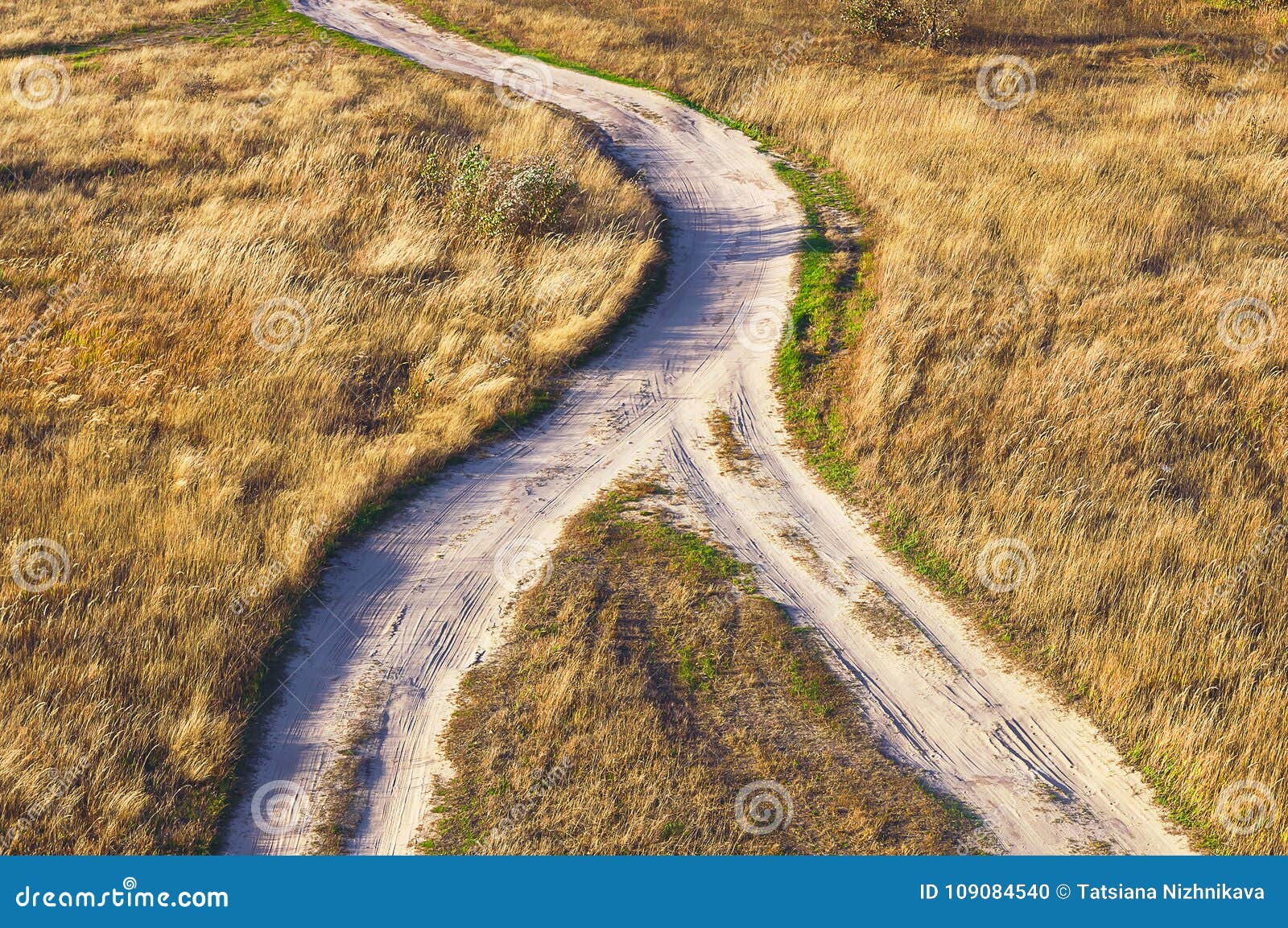 The Intersection of the Paths. Stock Photo - Image of nature, pathway ...