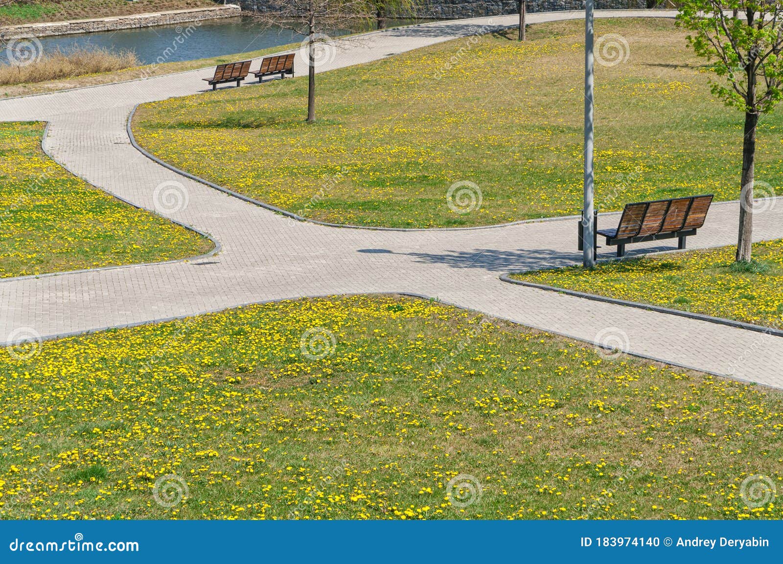 The Intersection of Paths in the Park among Lawns Filled with Yellow ...