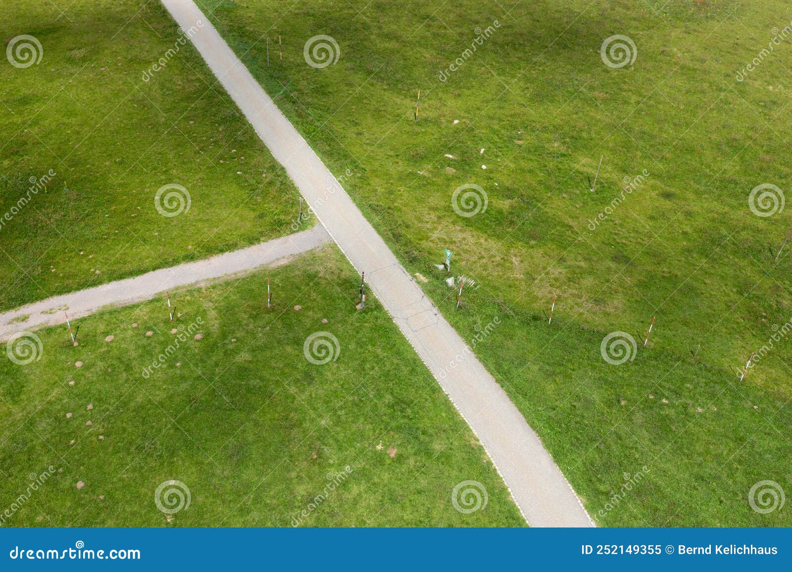 The Intersection of the Paths Stock Image - Image of plant, journey ...