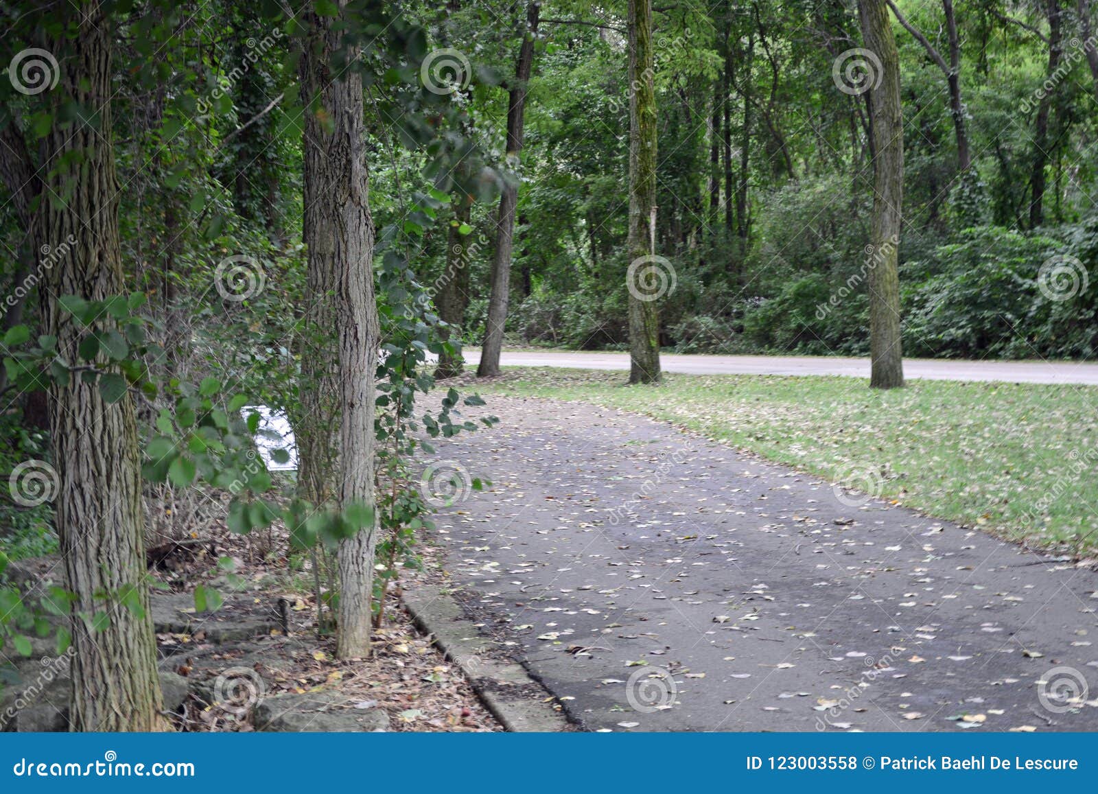 Intersection of Pathway and Park Road Stock Photo - Image of america ...