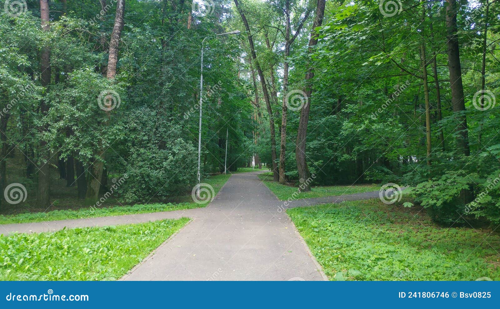 The Intersection Of The Paved Walkways Is In A Park Among Trees. Next ...