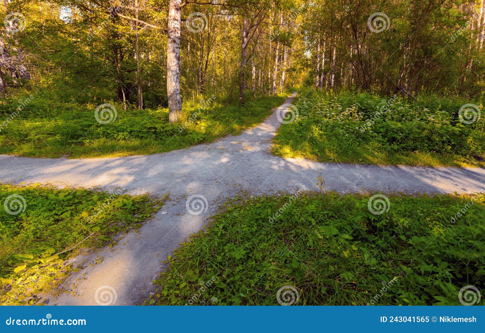 Two Footpaths Diverge In Opposite Directions Stock Image ...