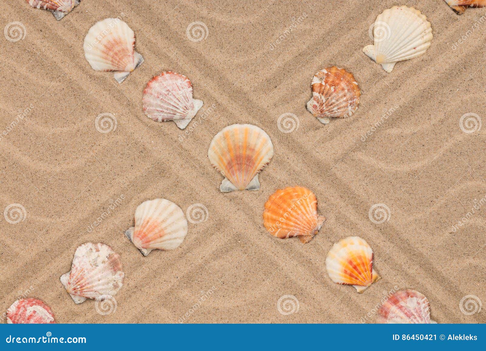 Intersection of Two Lines Composed of Seashells. Stock Image - Image of ...