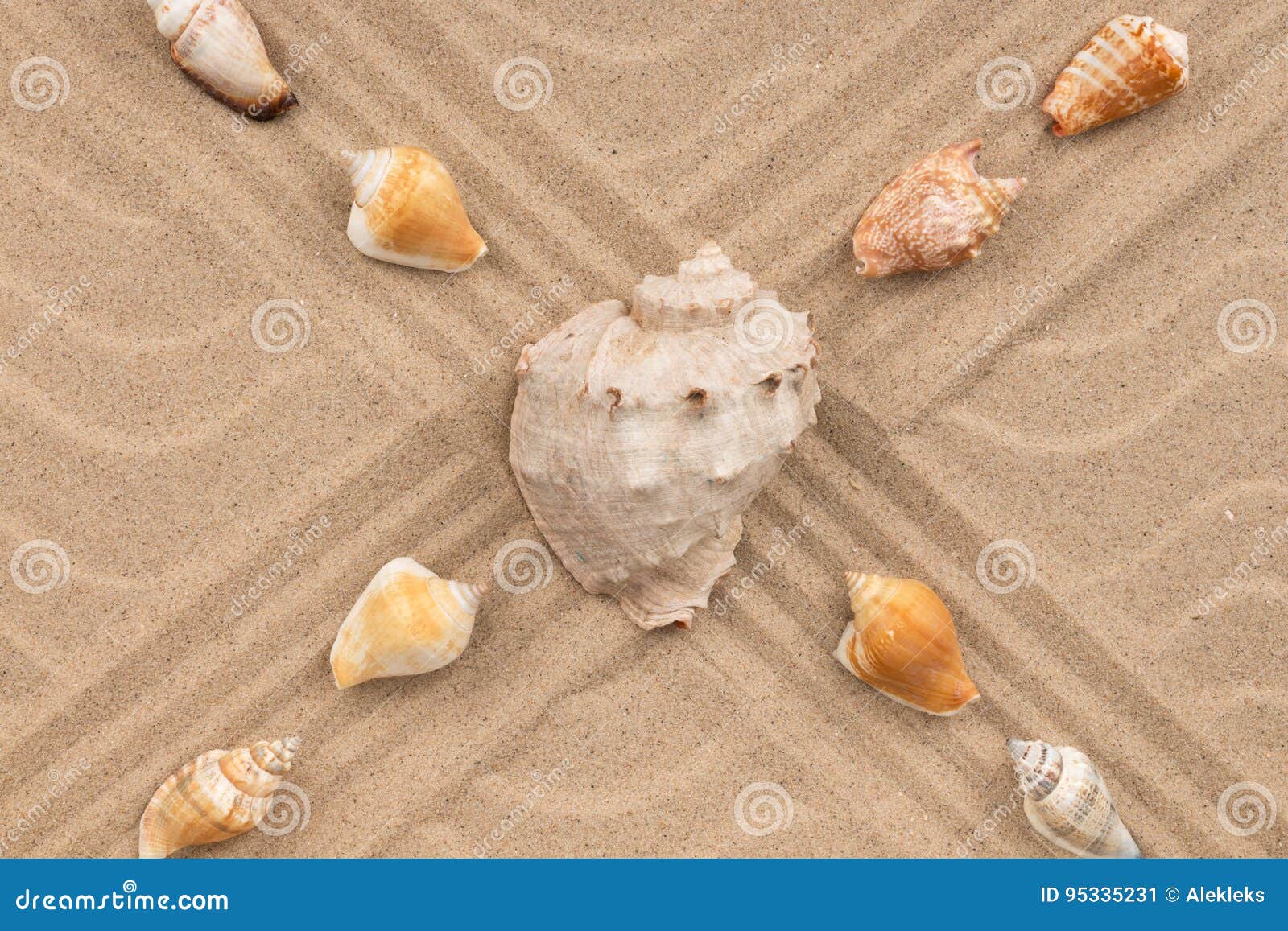 Intersection of Two Lines Consisting of Seashell. Stock Image - Image ...