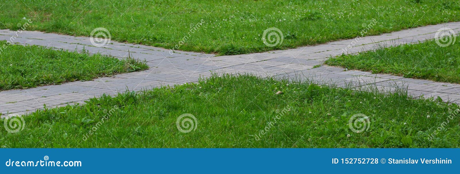 Intersection of Two Park Paths in the Green Grass Stock Photo - Image ...