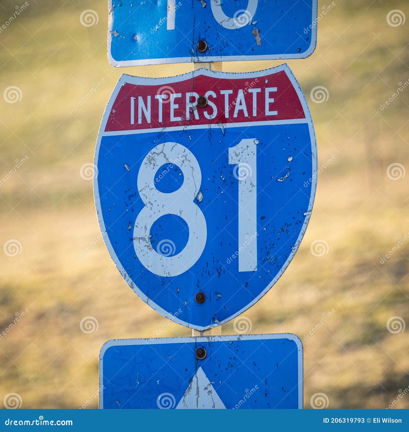 Interstate 81 Sign stock image. Image of design, road - 206319793