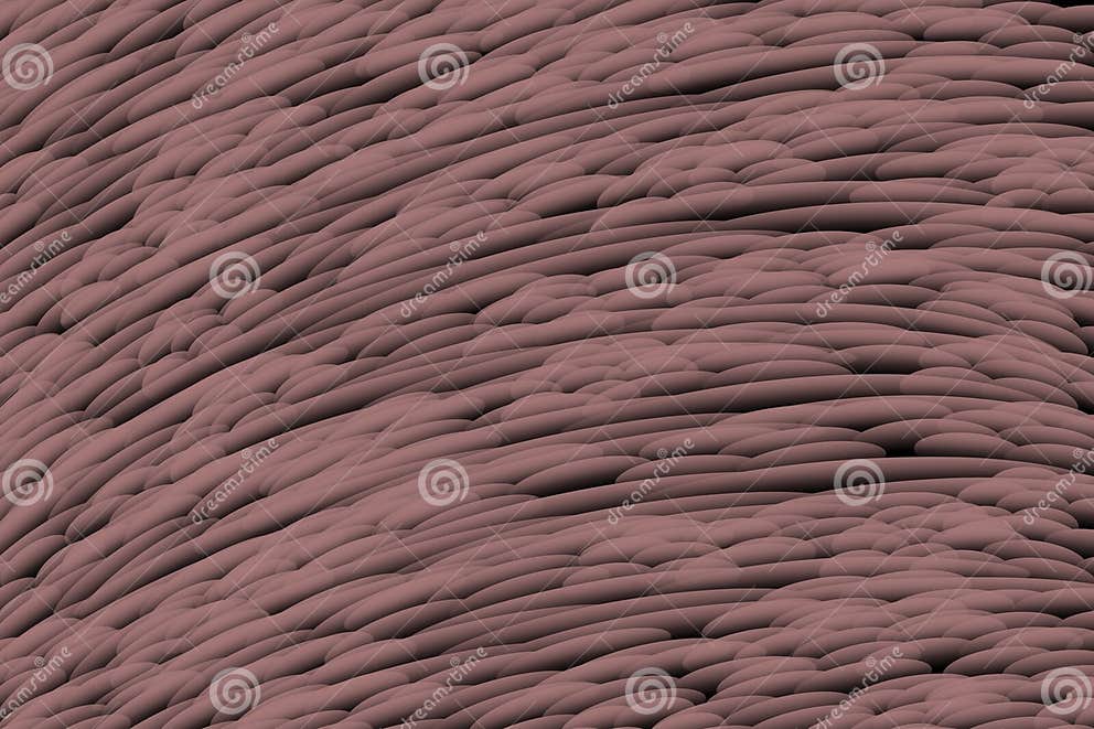 Intertwining Patterns Like Interwoven Threads are Enlarged. Elegant ...