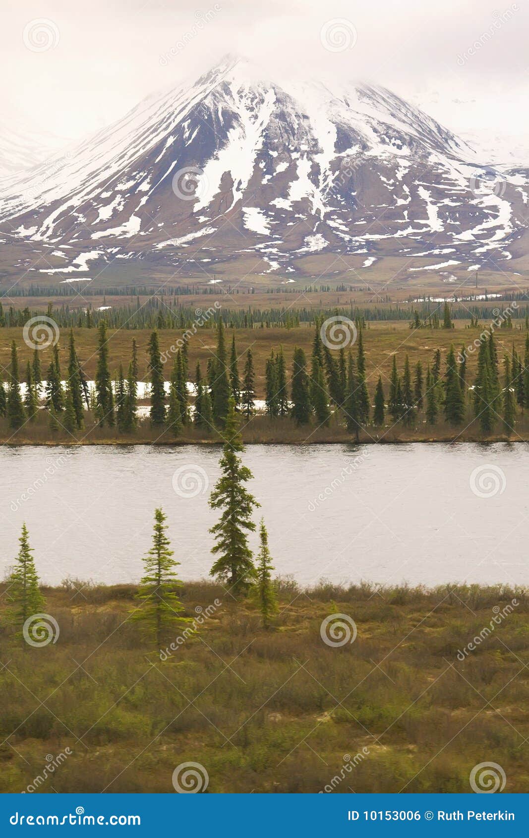 Intervallo Di Montagna Dell'Alaska Fotografia Stock - Immagine di ...