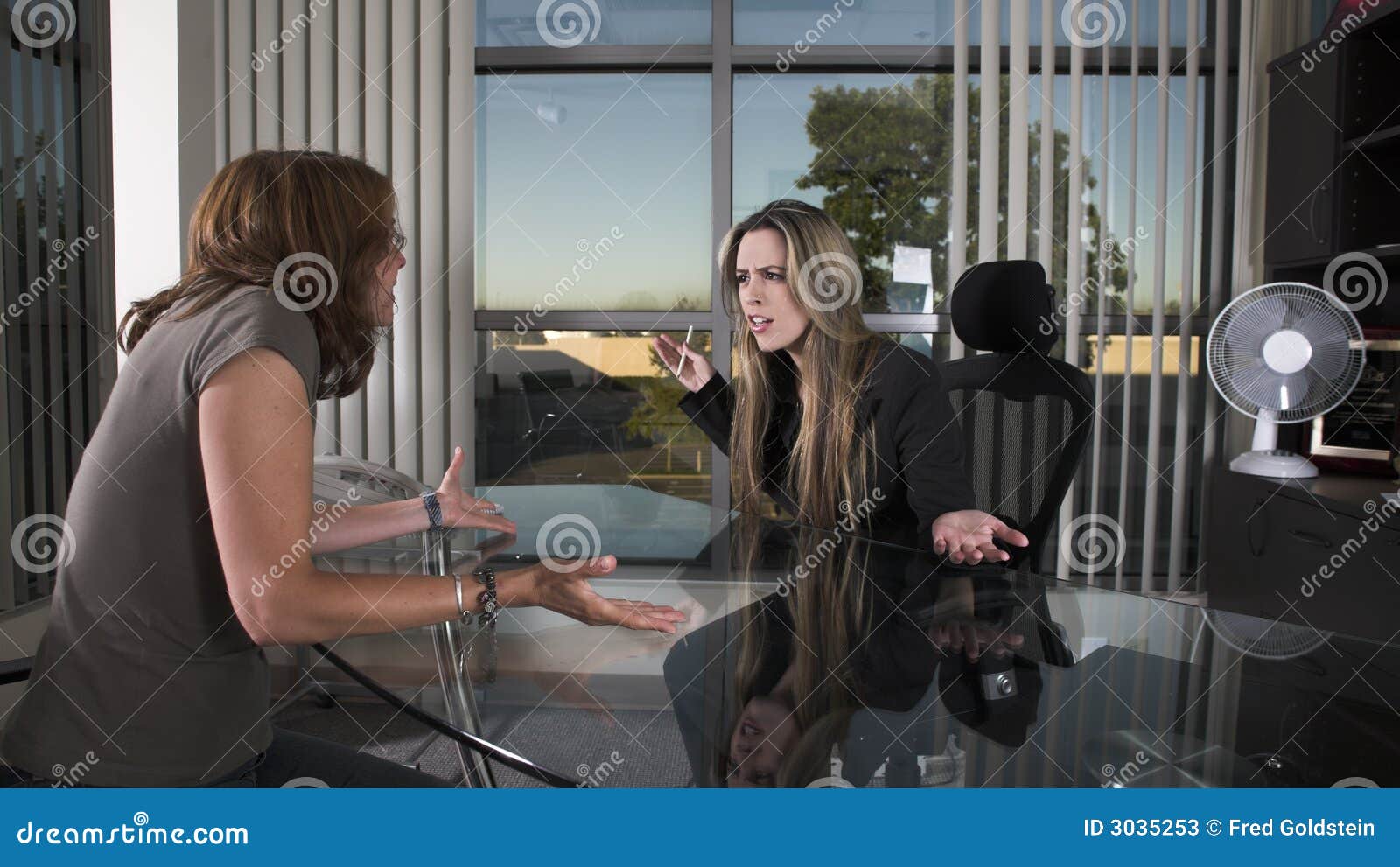 Interview stockbild. Bild von büro, erwachsene, informationen - 3035253