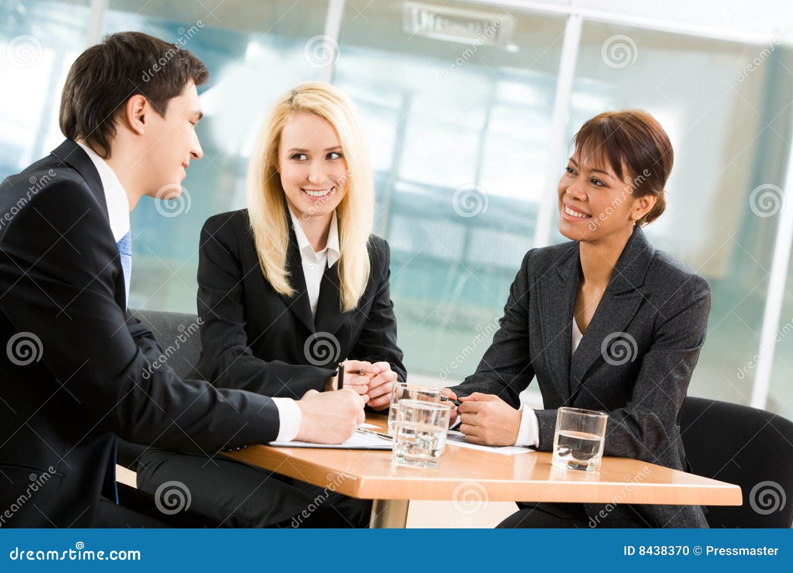 Interview stock photo. Image of employment, interaction - 8438370