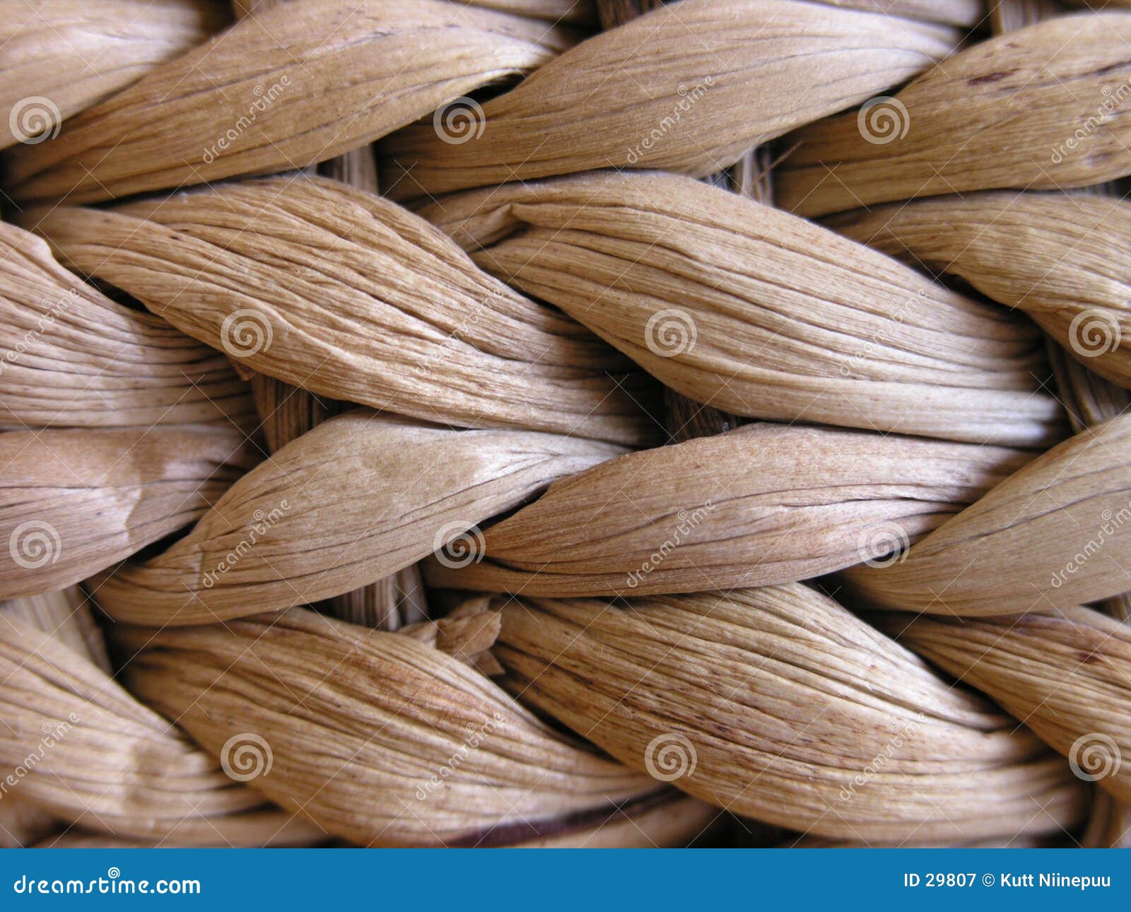 Interweave stock image. Image of braided, wreathe, macro - 29807