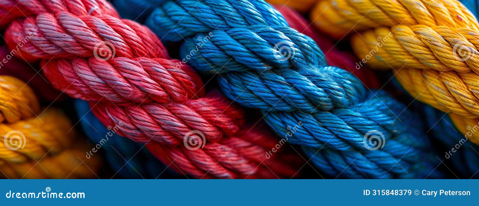 Interwoven Dichotomy: Exploring the Tonal Tension of a Merged Ro Stock ...