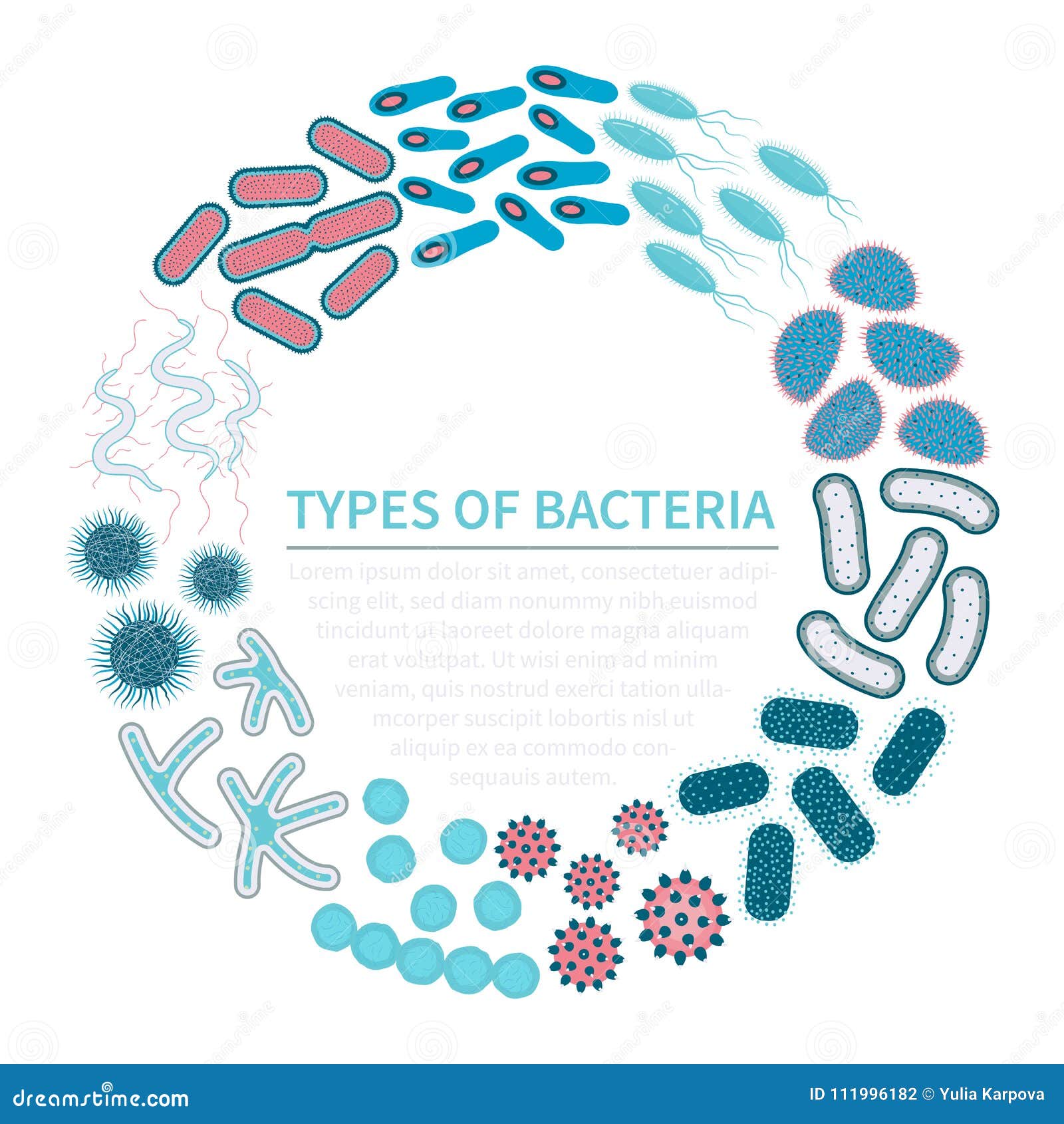 Intestinal Bacterias in a Circle Stock Vector - Illustration of ...