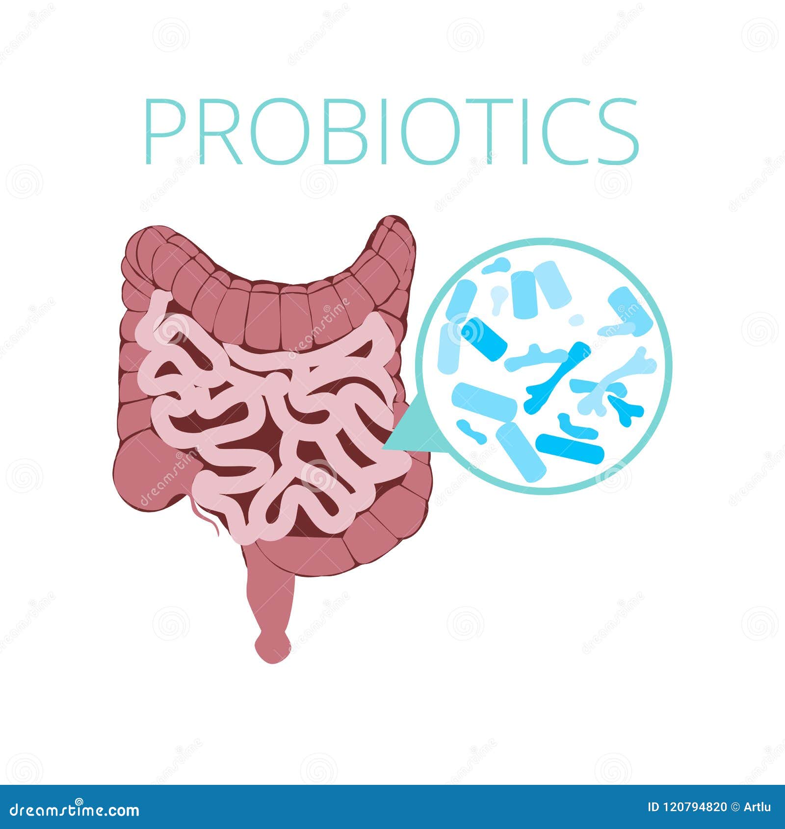 Set Of Probiotics Icons Different Good Bacterias Isolated On White