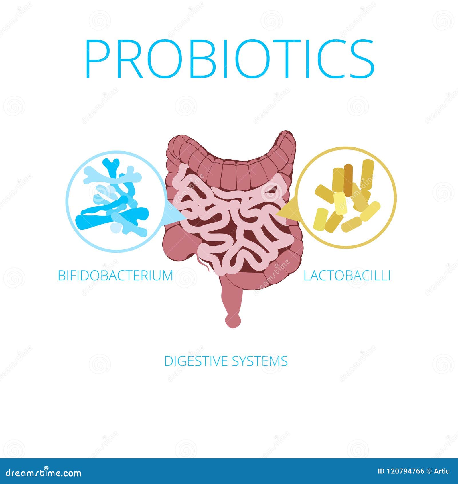 Intestinal Flora Vector Concept with Probiotics Icons. Stock Vector ...