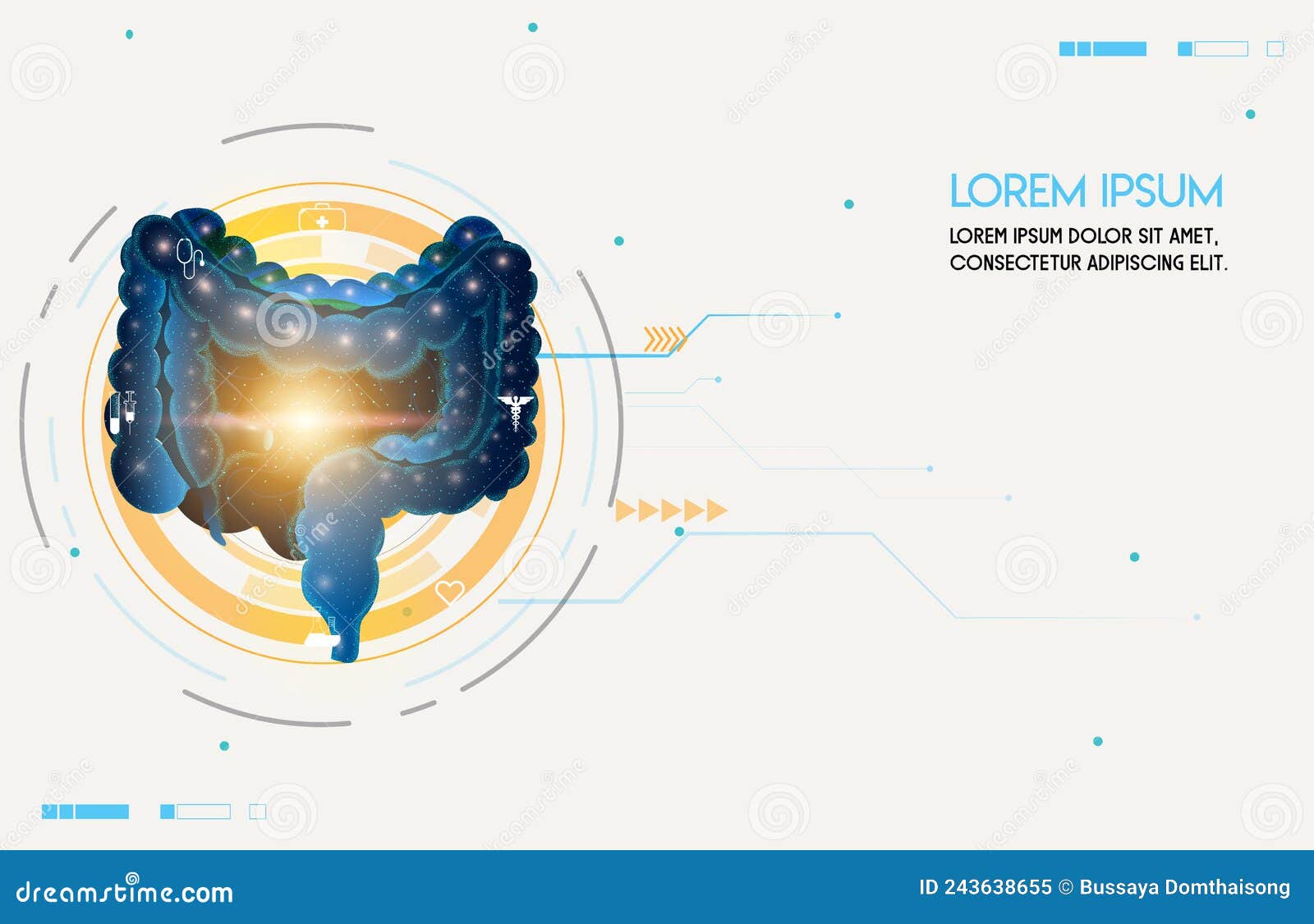 Intestinal is a Human Internal Organ. Design with Low Poly Technique ...
