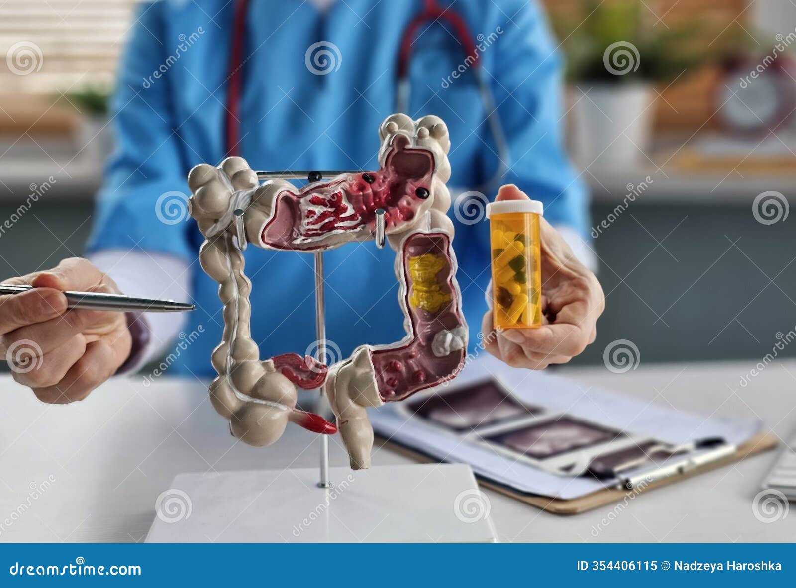 Intestinal Tract and Tablets in the Hands of Doctor with Model of ...