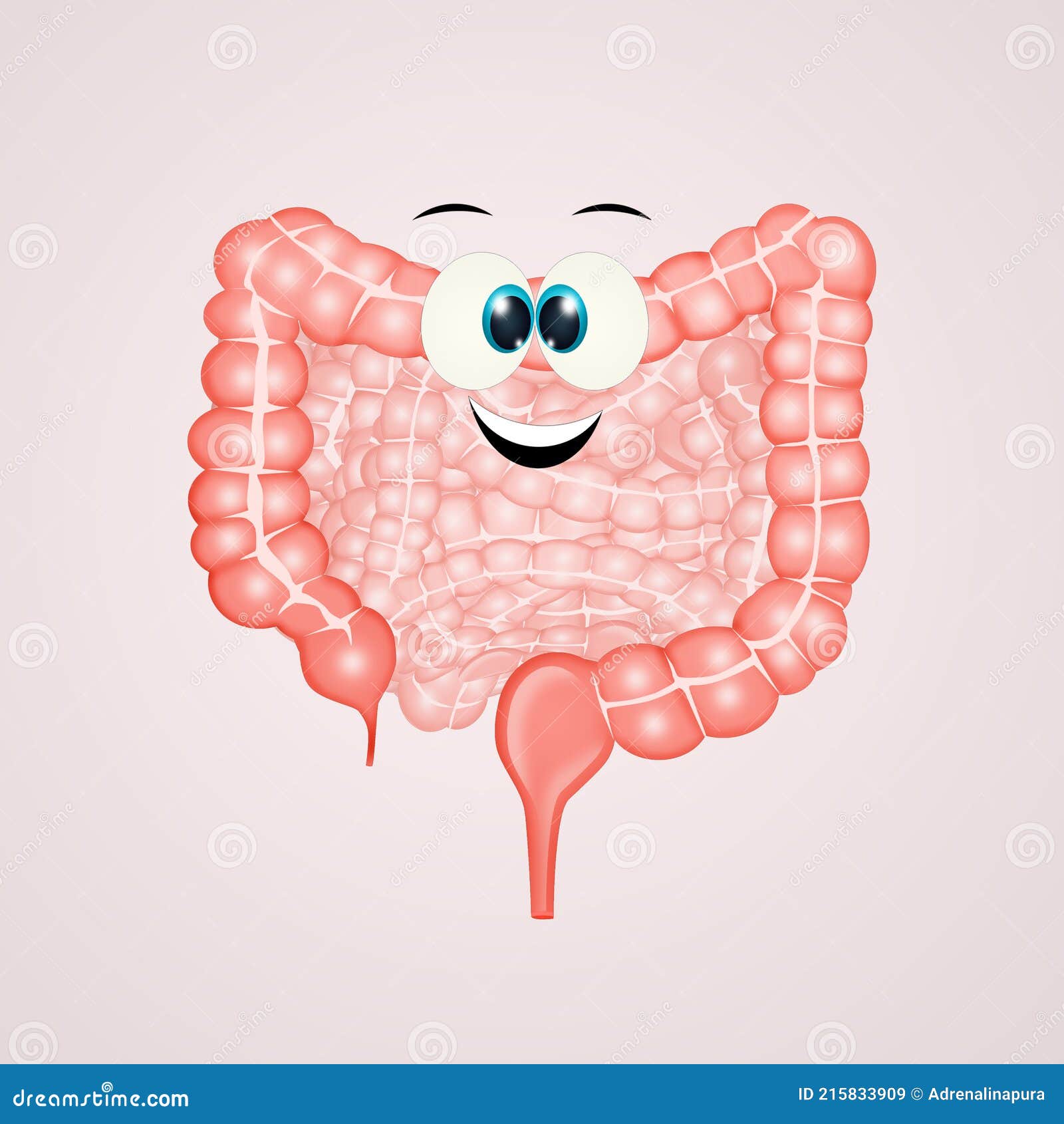 Intestine Cartoon With Funny Face Stock Image | CartoonDealer.com ...