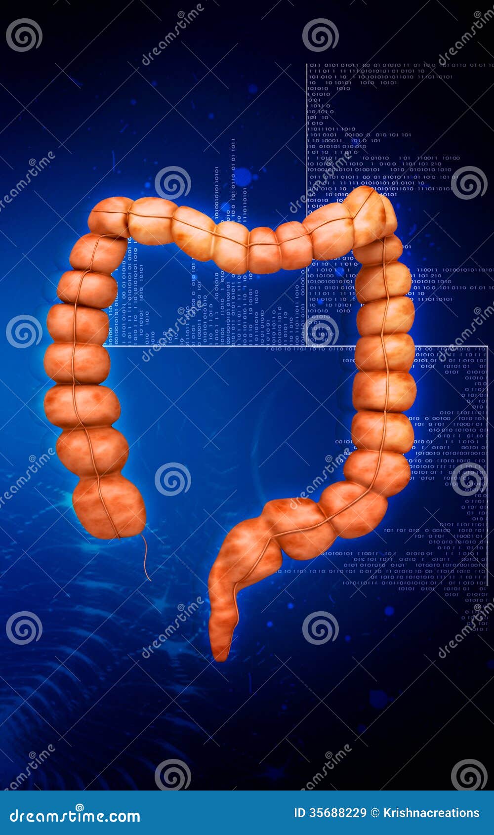 3d Texture Intestine Background Stock Illustration | CartoonDealer.com ...