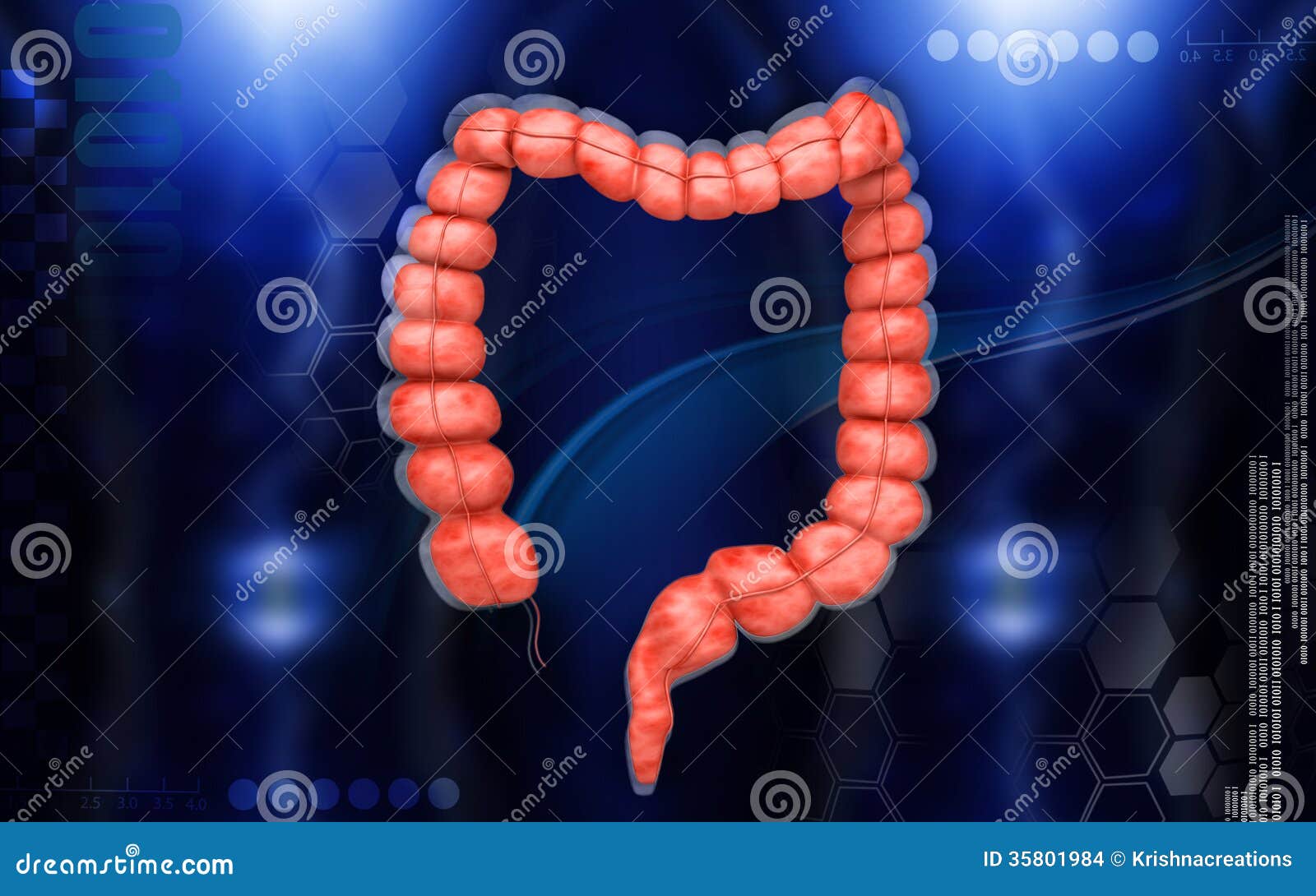 3d Texture Intestine Background Stock Illustration | CartoonDealer.com ...