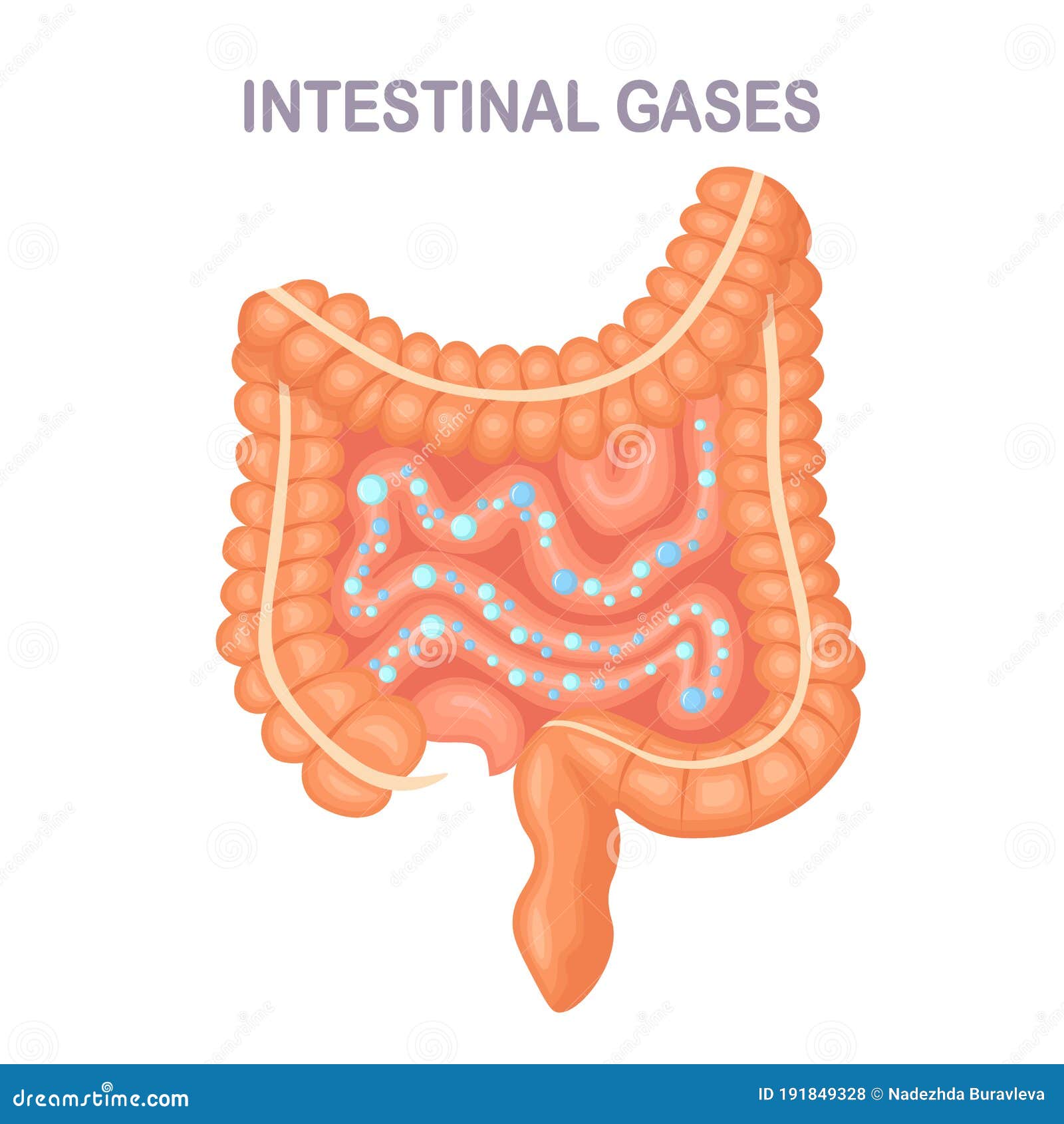 The Background Of The Intestinal Mucosa Is Parasitic Viruses And ...