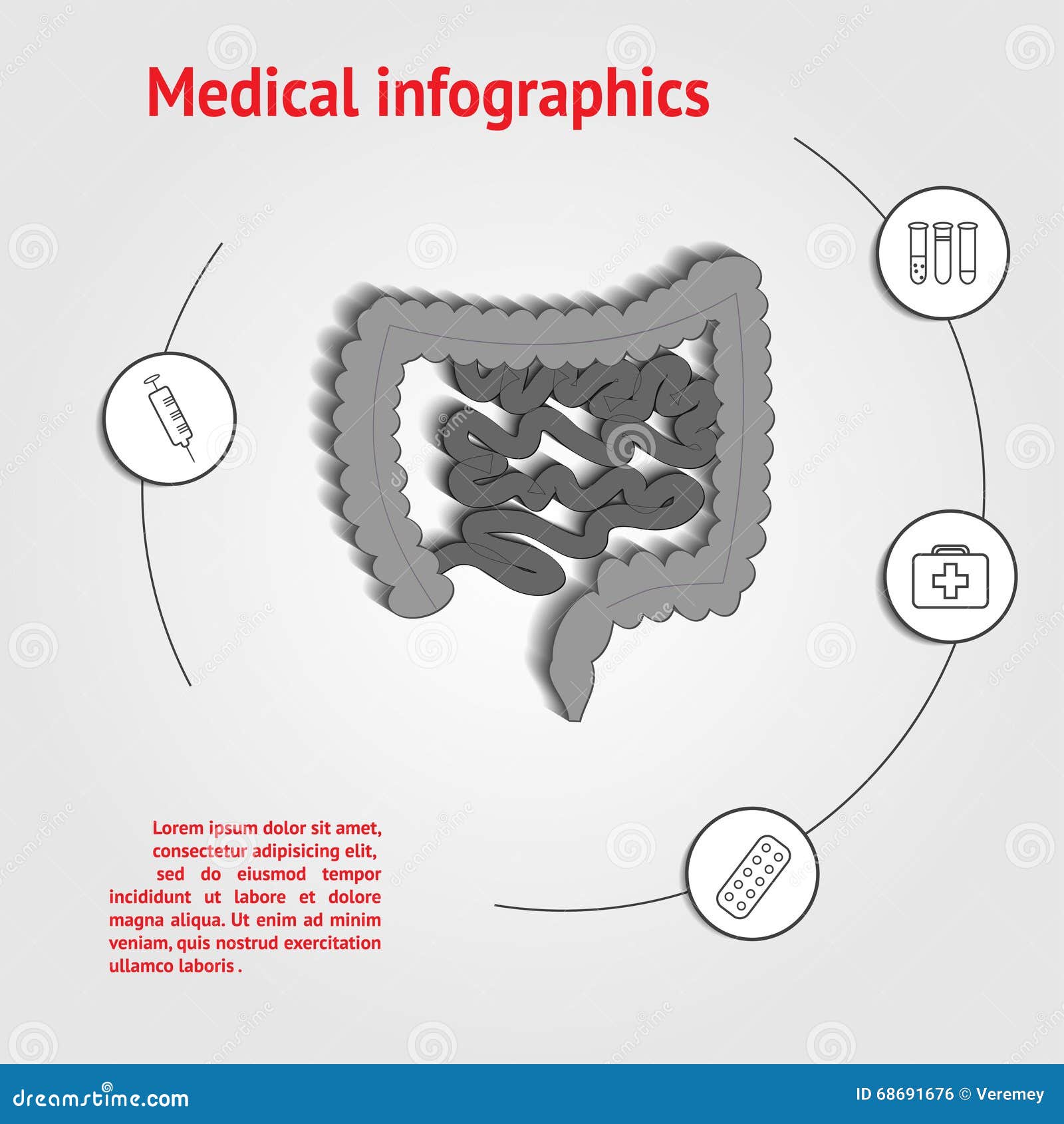 Intestines Infographics Template Stock Vector - Illustration of ...